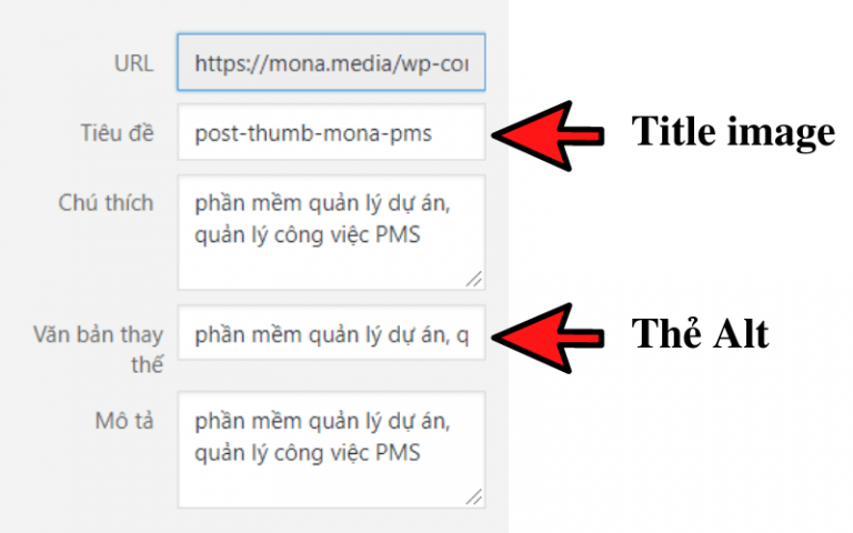 Thẻ Alt là gì? Hướng dẫn tối ưu thẻ Alt hình ảnh chuẩn SEO