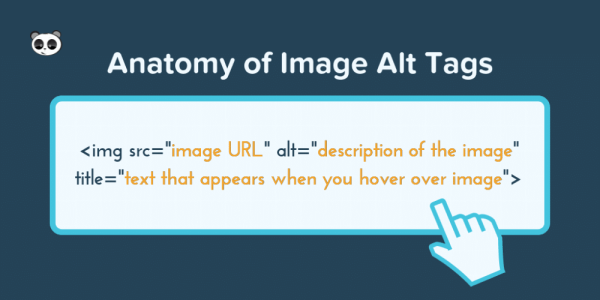 Thẻ Alt Là Gì? Hướng Dẫn Tối Ưu Alt Text Hình Ảnh Chuẩn SEO