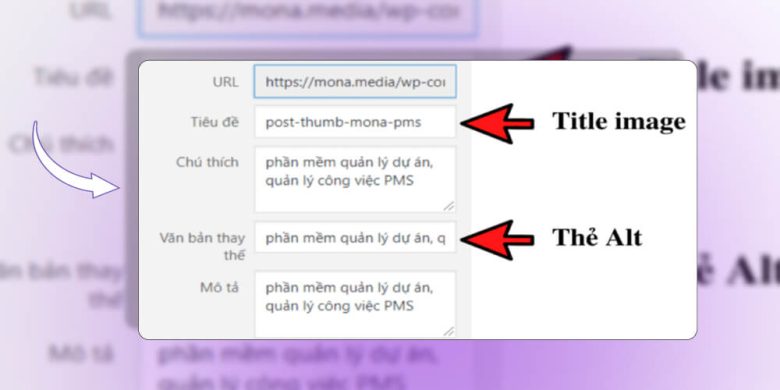 Thẻ Alt Là Gì? Hướng Dẫn Tối Ưu Alt Text Hình Ảnh Chuẩn SEO