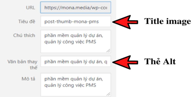 Thẻ Alt Là Gì? Hướng Dẫn Tối Ưu Alt Text Hình Ảnh Chuẩn SEO