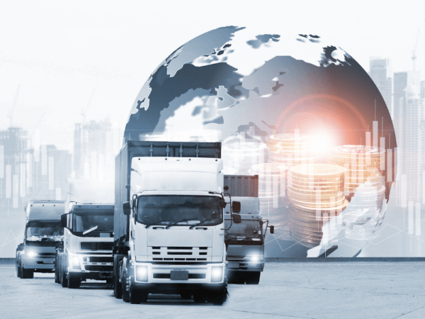 Dự Án Website Nhập Hàng Trung Quốc - Lê Phương Logistics