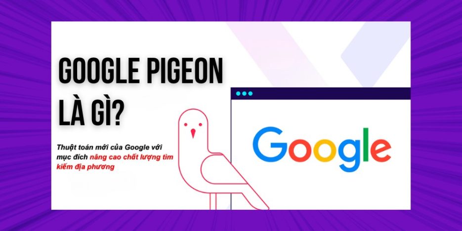 Google Pigeon là gì? Những điều cần biết về thuật toán Pigeon