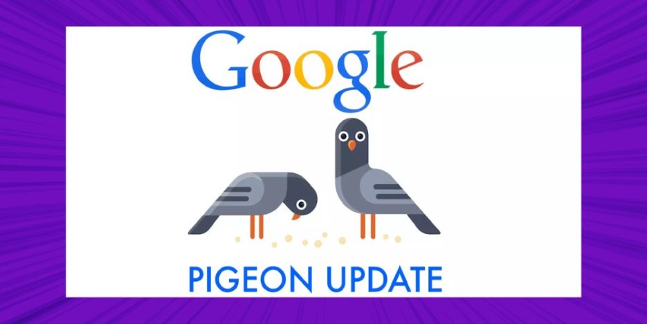 Google Pigeon là gì? Những điều cần biết về thuật toán Pigeon