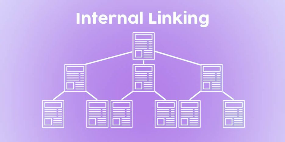 Link là gì? Cách sử dụng các loại Link trong website