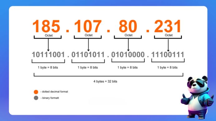 IP là gì? Cách tra cứu IP address trên điện thoại, máy tính