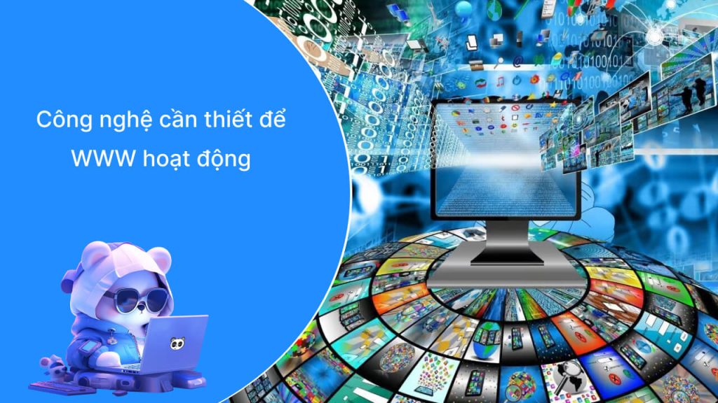 WWW là gì? Lịch sử và sự phát triển thần kỳ của World Wide Web